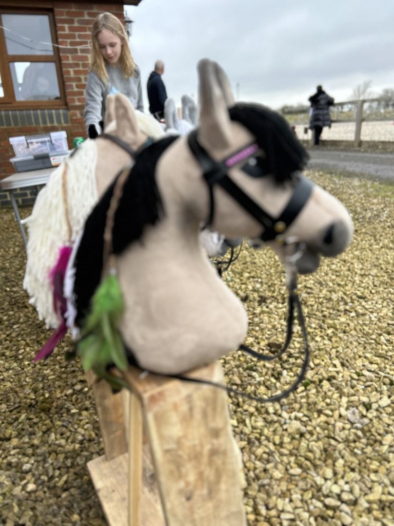 Hobby Horse Fjord - Hobby Horses