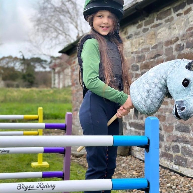 Hobby Horse Jumps - 3 Pole - Hobby Horses