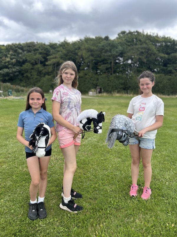 Hobby Horses | Hobby Horse Events UK | Hobby Horses For Sale