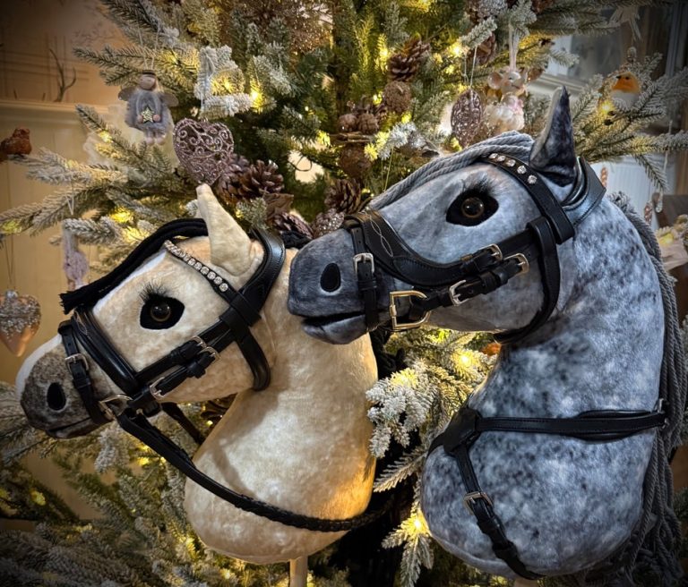 Hobby Horse For Sale | Buy Hobby Horses | Buy Stick Horse